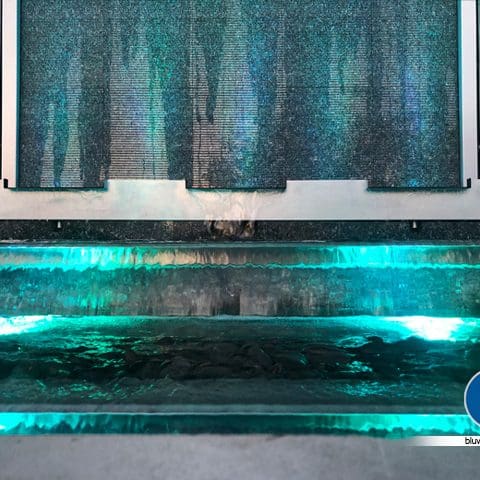 About Bluworld of Water | Bluworld Water Feature Design Company